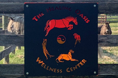 Healing Oasis